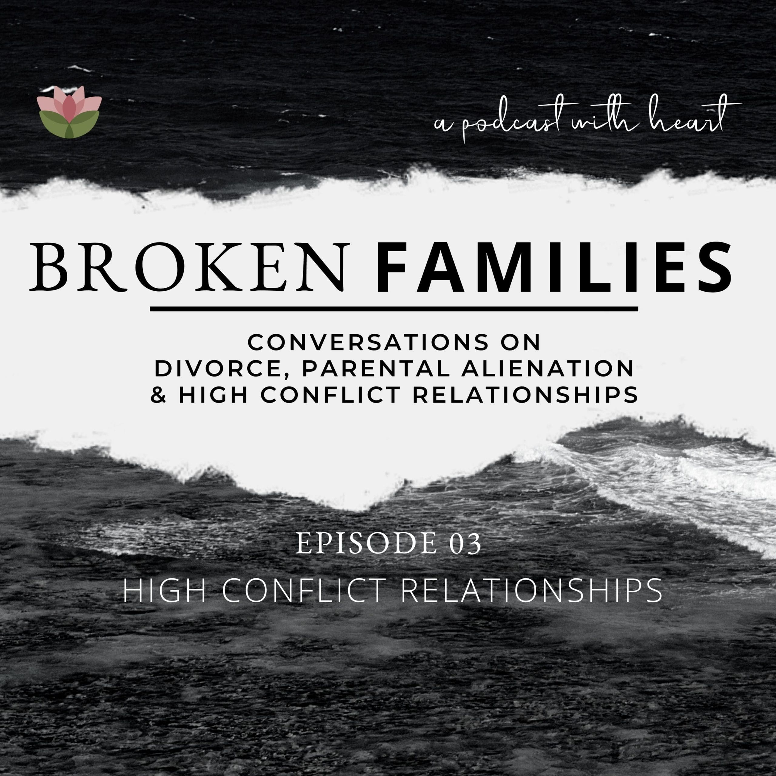 Broken Families Ep 3 - Intro to High Conflict Personalities